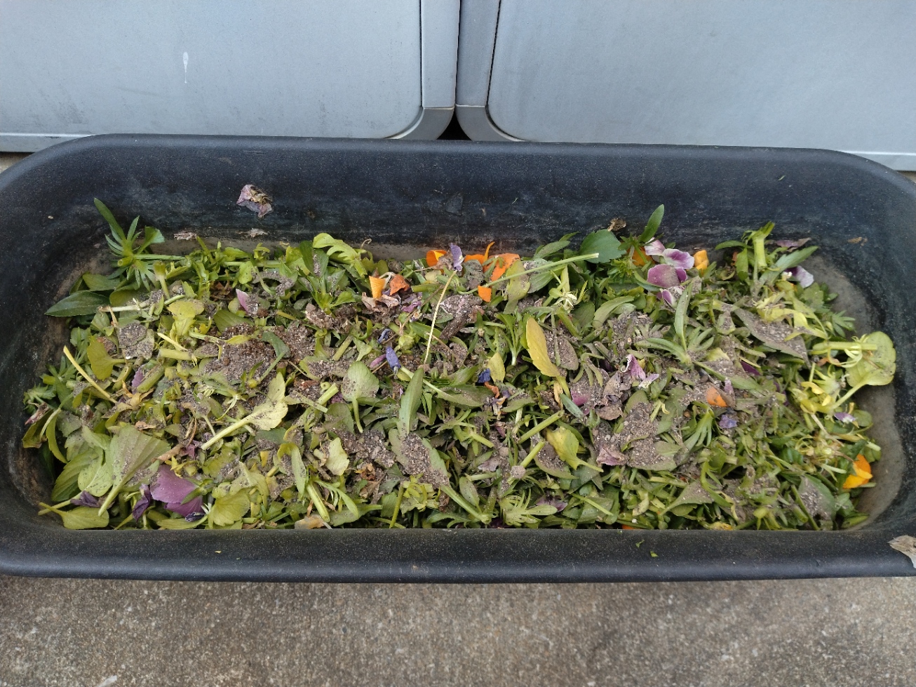 超カルスNC－Rの使い方を実践！ 土壌改良はできるのか！？ | 週末の庭いじり